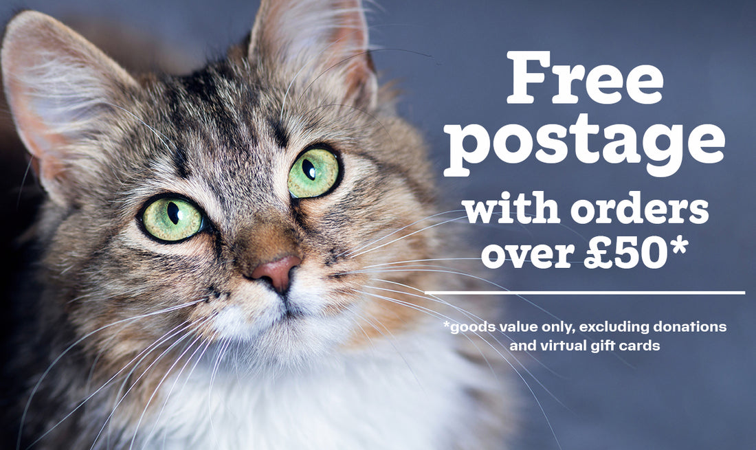 Cats Protection Shop