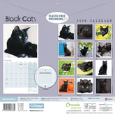 Calendars and Diaries – Cats Protection Shop