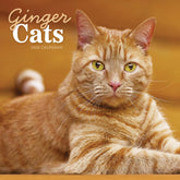 Calendars and Diaries – Cats Protection Shop