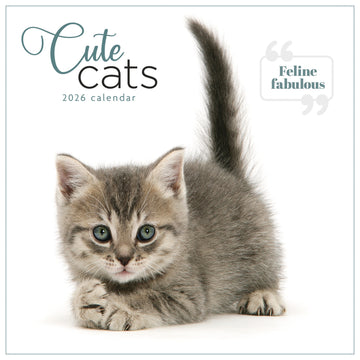 Calendars and Diaries – Cats Protection Shop