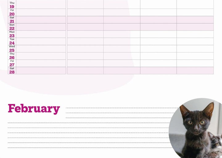 Calendars and Diaries – Cats Protection Shop