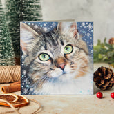 Cats Protection Christmas Cards | Cat Christmas Card Packs – Cats ...
