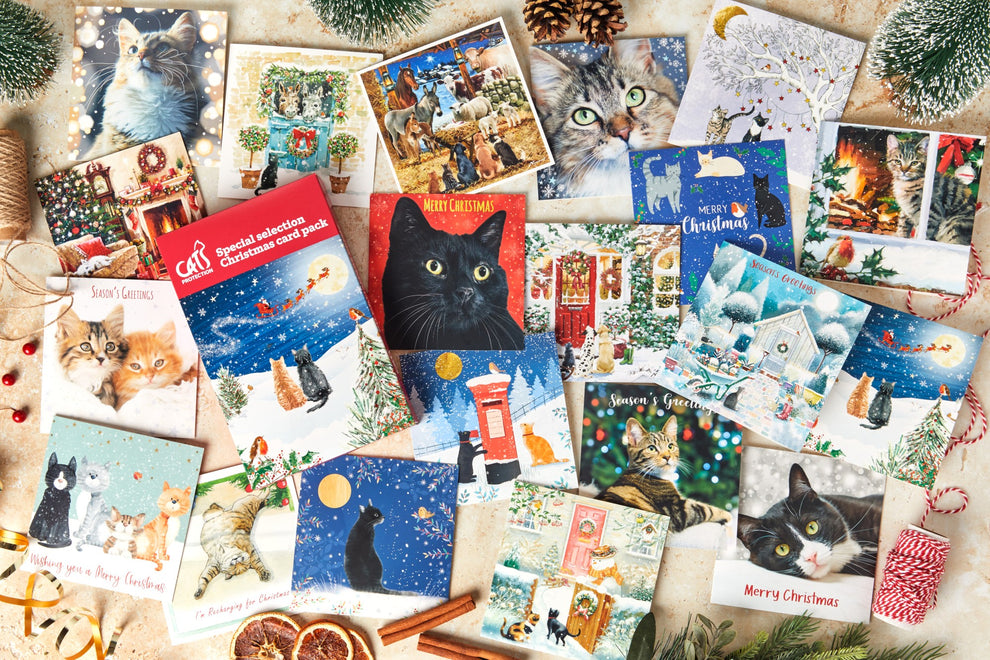 Cats Protection special selection 20 cards – Cats Protection Shop