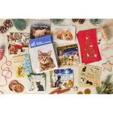 Cats Protection Christmas Cards | Cat Christmas Card Packs – Cats ...