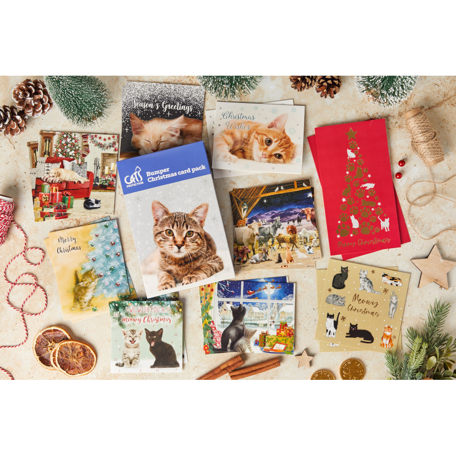 Cats Protection Christmas Cards | Cat Christmas Card Packs – Cats ...