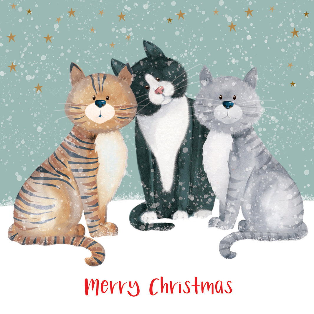 Cats Protection Christmas Cards | Cat Christmas Card Packs – Cats ...