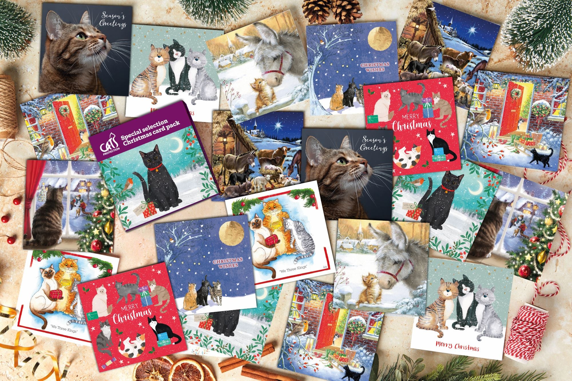 Cats Protection Christmas Cards | Cat Christmas Card Packs – Cats ...