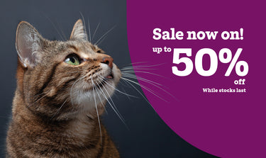 Cats Protection Shop