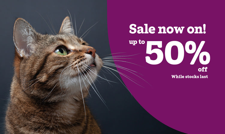 Cats Protection Shop